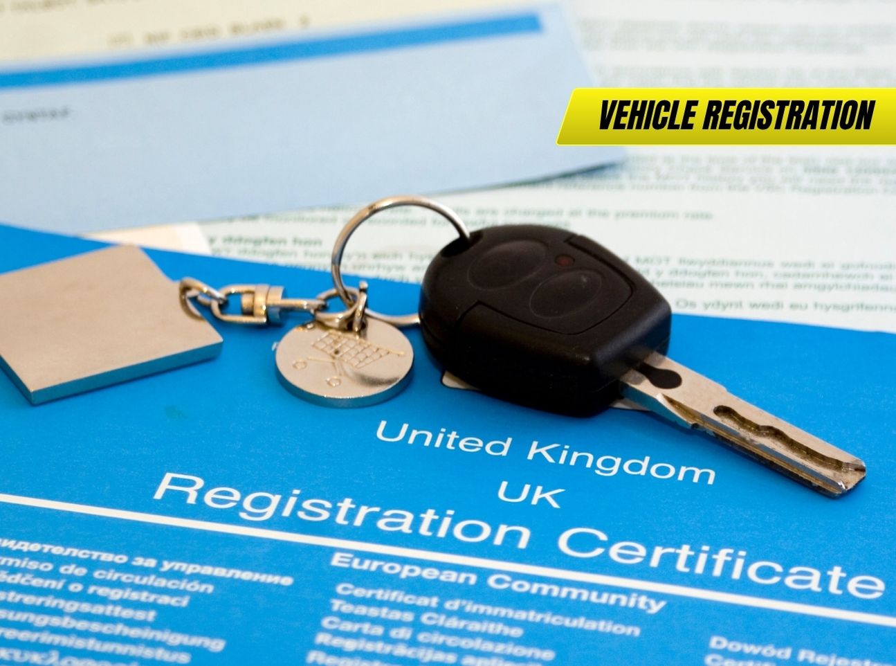 Vehicle Registration Fees and Exemptions in the US: Complete 2025 Guide ...